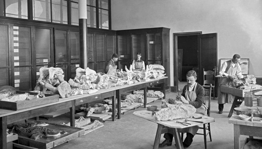 Darwin’s legacy: Genes provide the thread of evolution