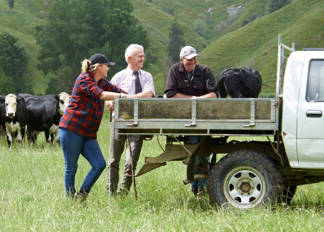 Waterman Capital principals boost stake in Allied Farmers